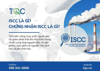Chứng nhận ISCC là gì? Quy trình 06 bước đạt Chứng nhận ISCC
