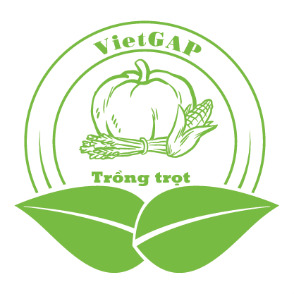 VietGAP trồng trọt
